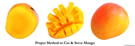 Are Mango Sizes True To Size? – SizeChartly