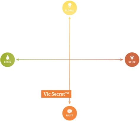 Are Victoria Secrets Sizes True To Size? – SizeChartly